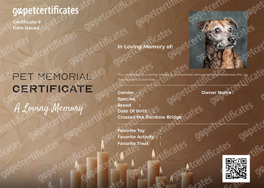 Go Pet Certificates